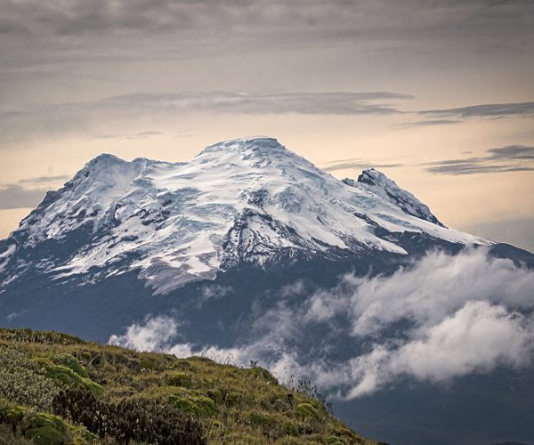 Antisana condor tour | Neotropical Nature and Birding Trips