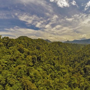 Home | Neotropical Nature and Birding Trips